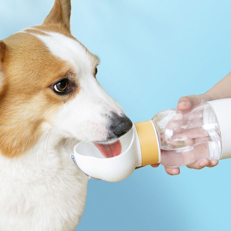 Portable pet water cup - China Pet Products Wholesaler
